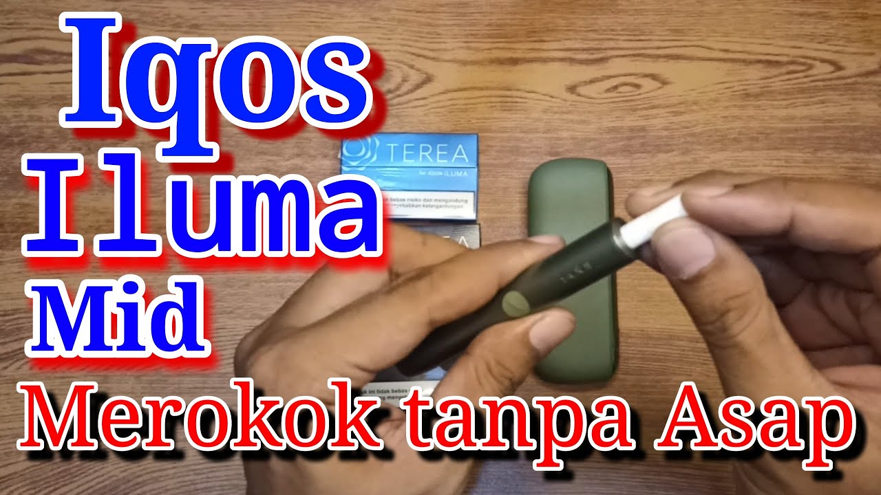 Review Terea Apricity dengan IQOS Iluma Mid - YouTube