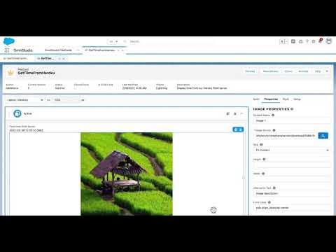 OmniStudio FlexCard - using REST API Data source - YouTube