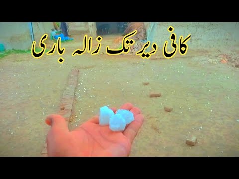 zala bari in pakistan today | village life in punjab - YouTube