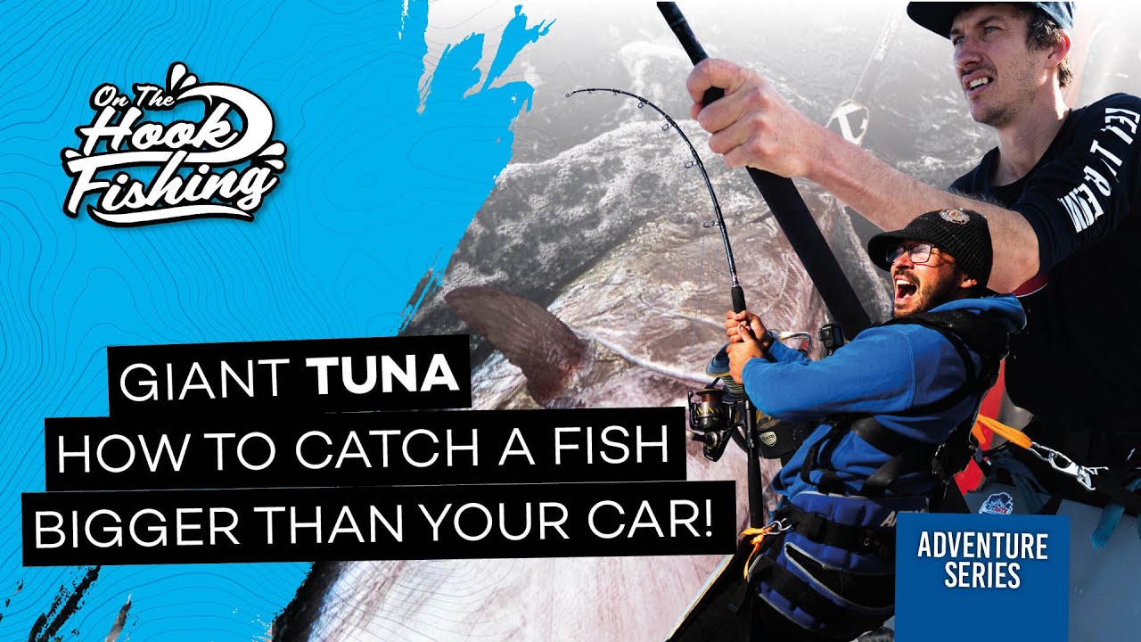 How to catch a HUGE fish that's bigger than your car - Monster Blue Fin ...