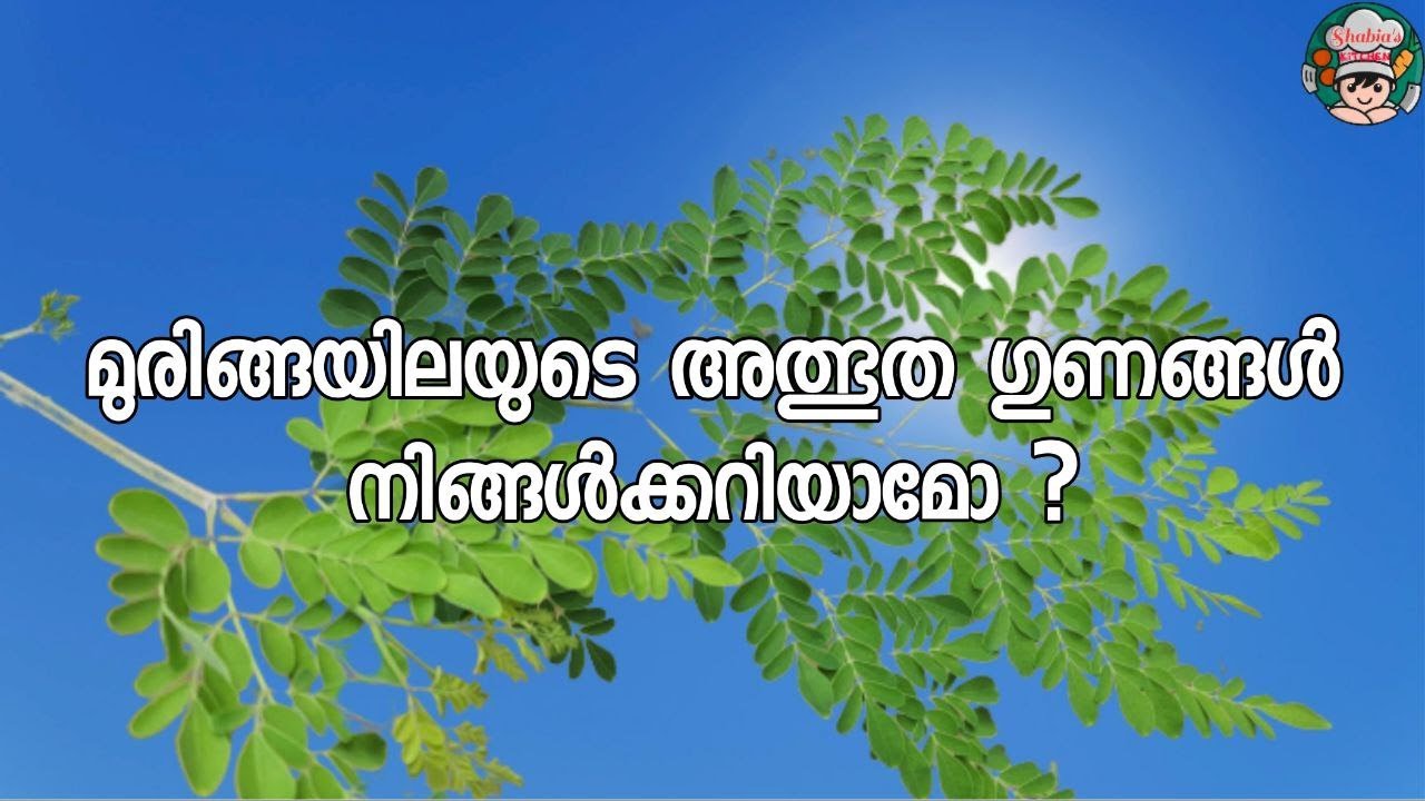 Muringayila Curry||Muringayila Thoran||Health Benifits of Drumstick ...