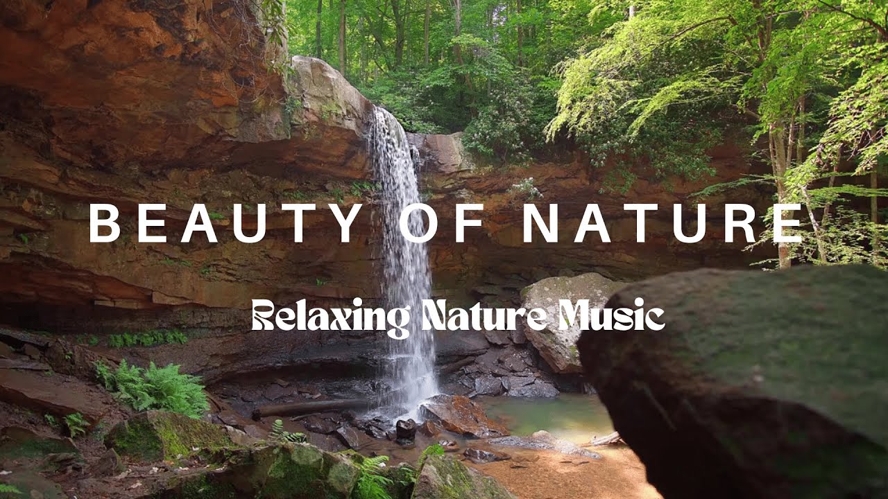 Ultimate Relaxing Nature Music Video - 10 Minutes of Stress Relief and ...