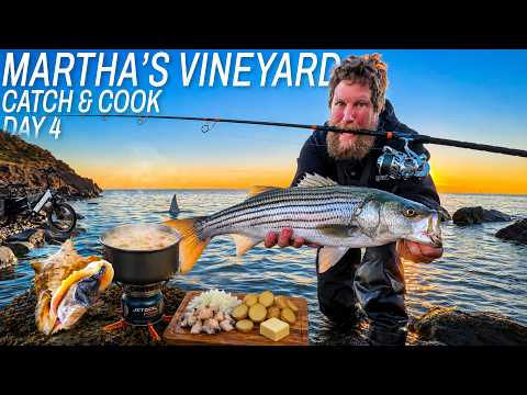 Martha's Vineyard Conch Catch & Cook | Episode 4 Chasing the Striper