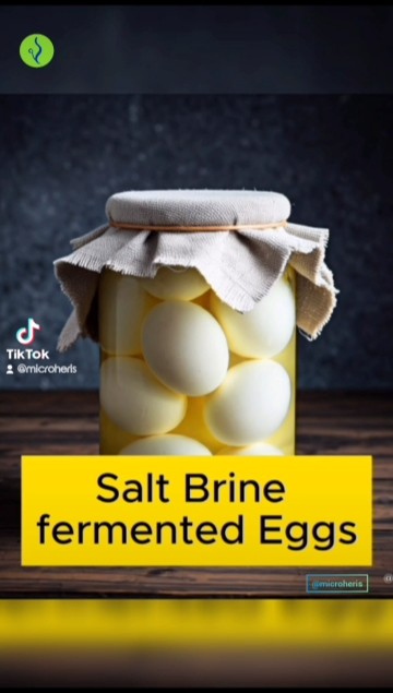 Homemade Salt-Brined Fermented Eggs recipe #probiotics #eggs # ...