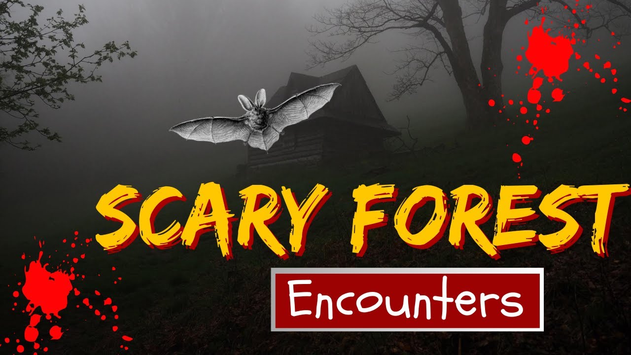Scary Forest Encounters Terrifying Tales from the Woods: Skinwalkers ...