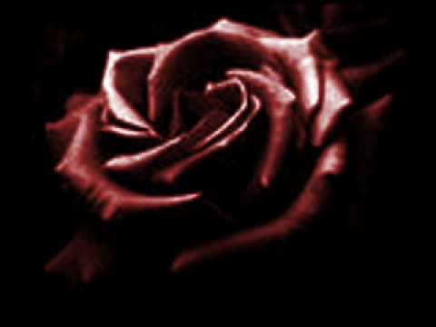 lovely mary (kiss your lips)