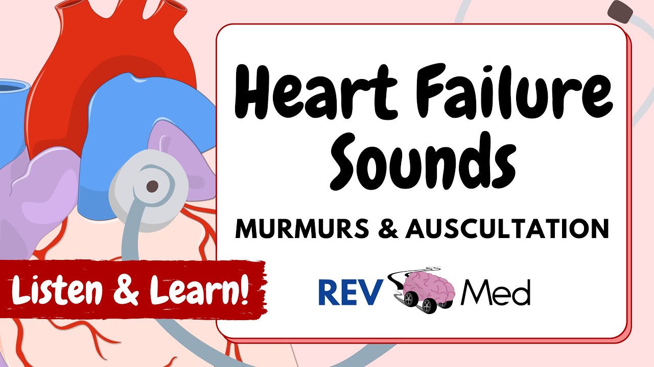 Heart Failure Sounds & Murmurs (Auscultation) - YouTube
