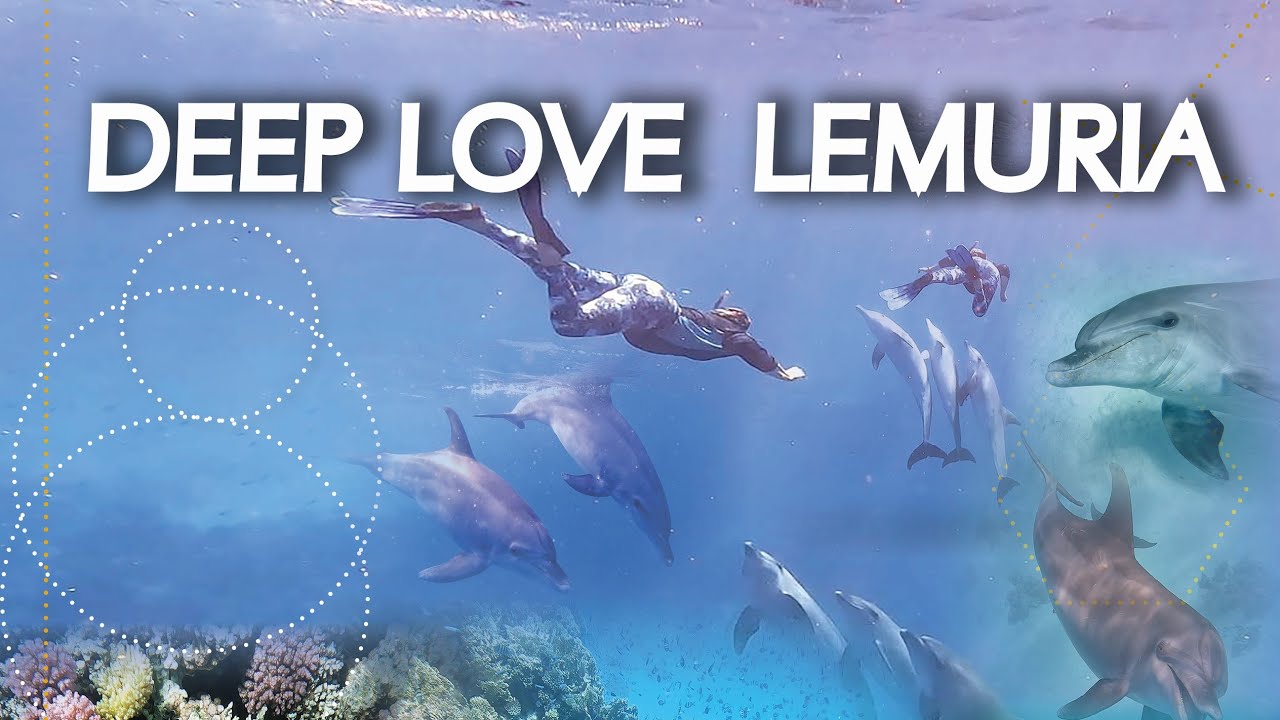 Delfinschwimmen - Deep Love Lemuria 2024 - YouTube