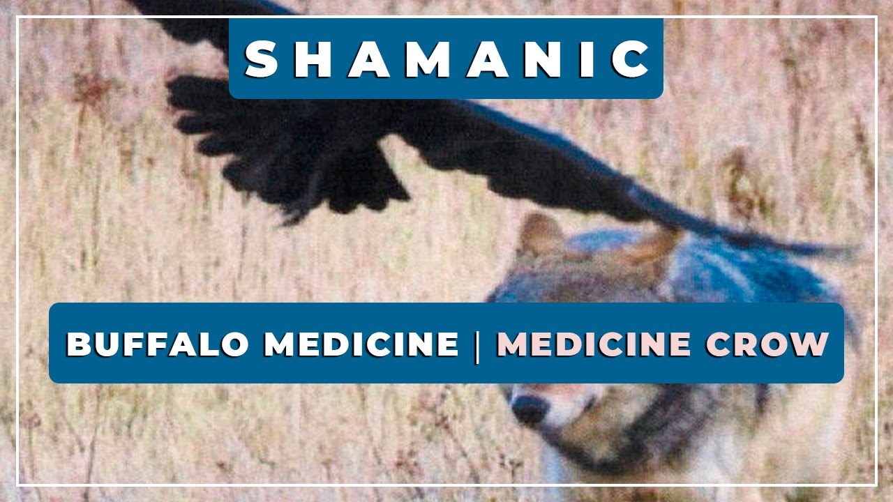 🎼 Buffalo Medicine ⭐ Medicine Crow Shamanic Music - YouTube