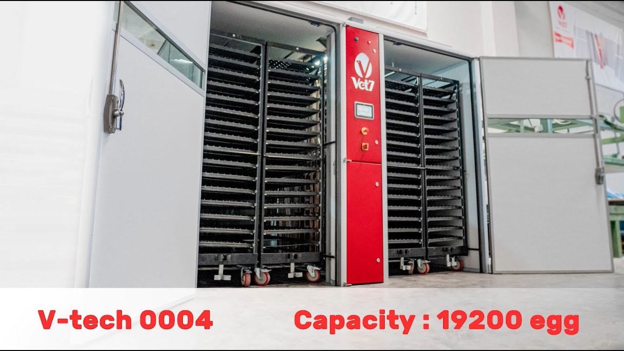 Eggs Setter Incubator 19200 egg (V tech0004-Vet7 incubators) - YouTube