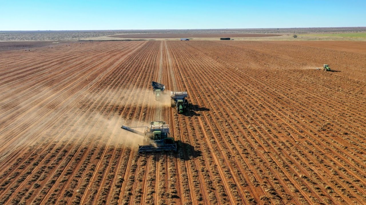 2018 West Texas Organic Peanut Harvest. - YouTube