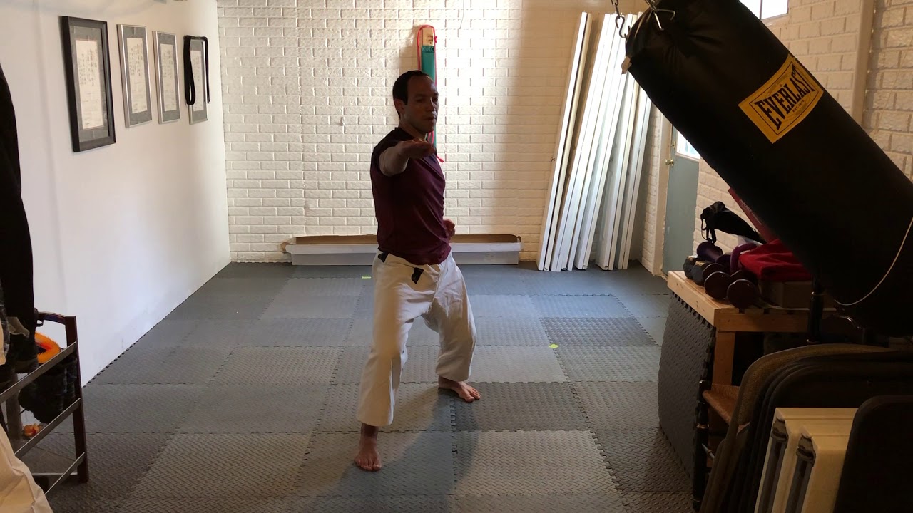 All 26 Shotokan karate katas - in 30 minutes | #shotokan #karate # ...