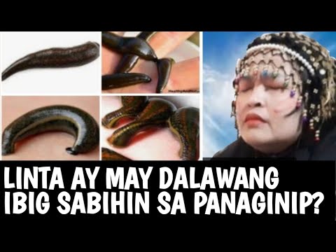 KAHULUGAN NG LINTA SA PANAGINIP MAY DALAWANG IBIG SABHIN? | AU PINAS ...
