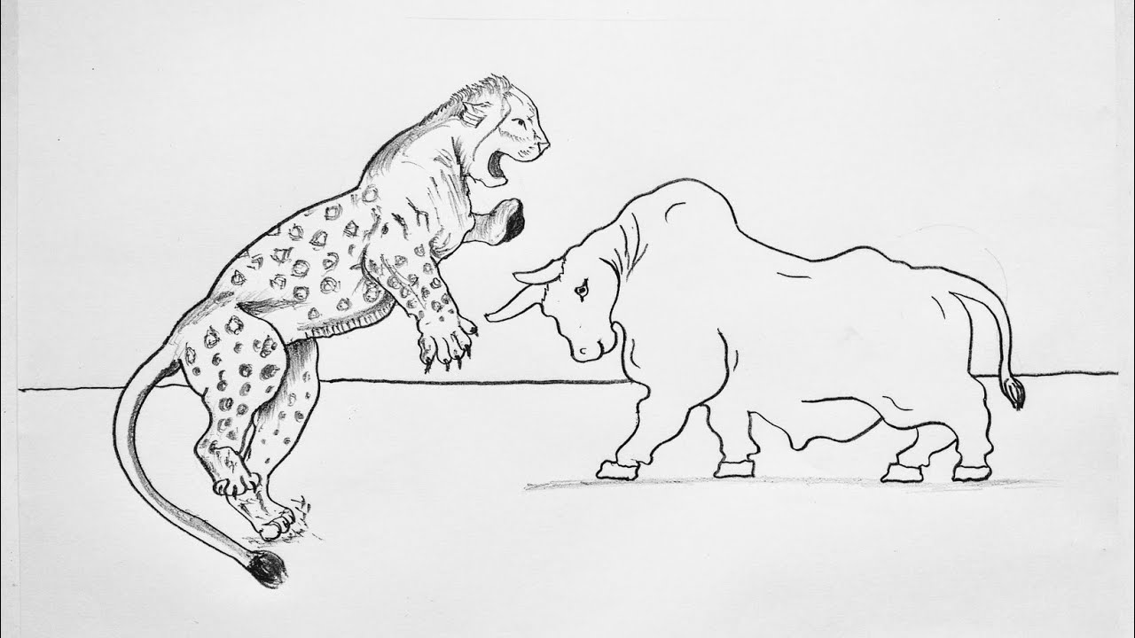 The Best Fight Scene How To Draw Panther Vs Bull Fight Scene the-best-fight-scene-how-to-draw-panther-vs-bull-fight-scene