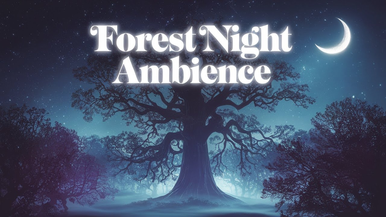 Forest Night Ambience – 3 Hours of Relaxing Night Sounds for Deep Sleep ...