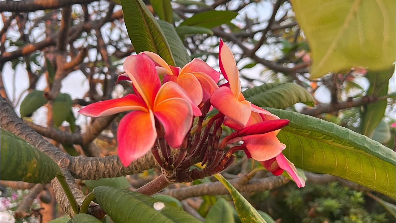 Ywam travel Journey - YouTube