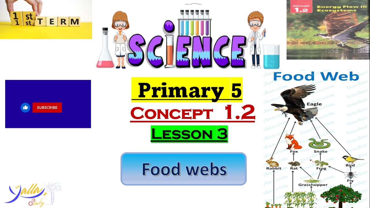 Science chapter 2 lesson 3 theme 1 primary 5 first term - YouTube