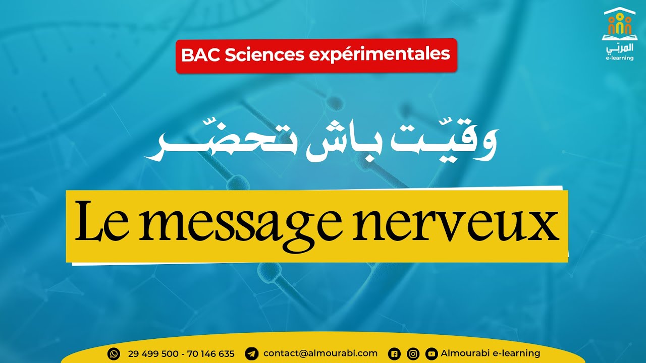 Bac Sciences : SVT : Le Message Nerveux - Cours Complet & Explications ...