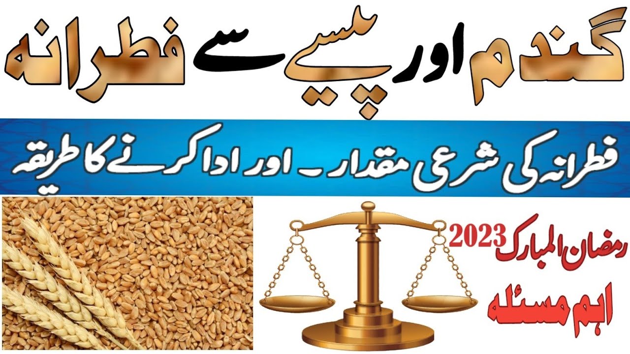 Fitrana 2023 | Gandum Se Fitranay Ki Shari Miqdar | Fitranay ki ehmiayt ...