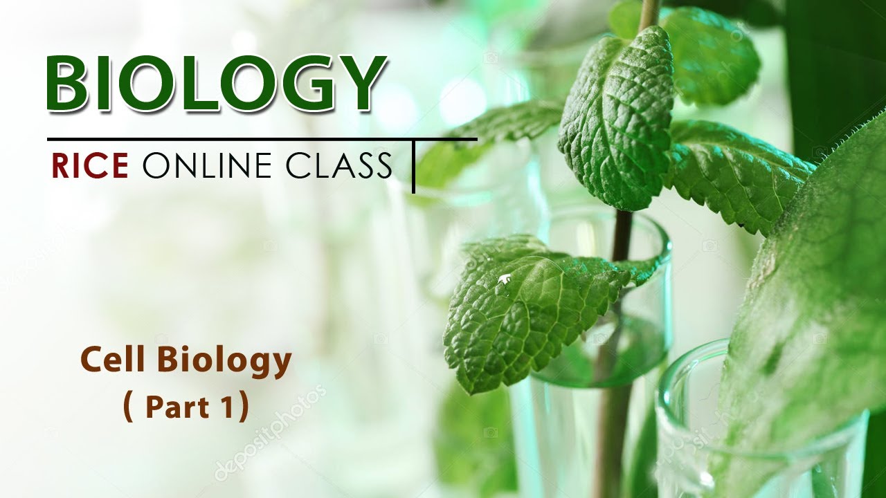 Biology Online Class I Rice Online Class I Chetana Tv I Cell Biology I ...