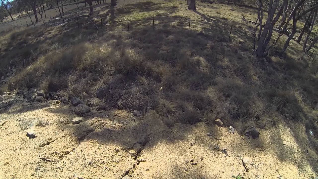 Saving a turtle from being run over. - YouTube