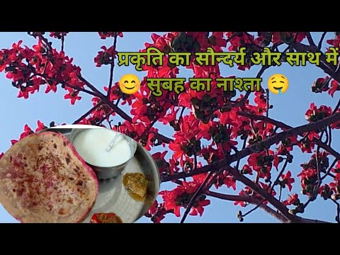 प्रकृति के सौन्दर्य के साथ ही आलू के परांठे 🤤 और चुकंदर के परांठे 🤤 ...