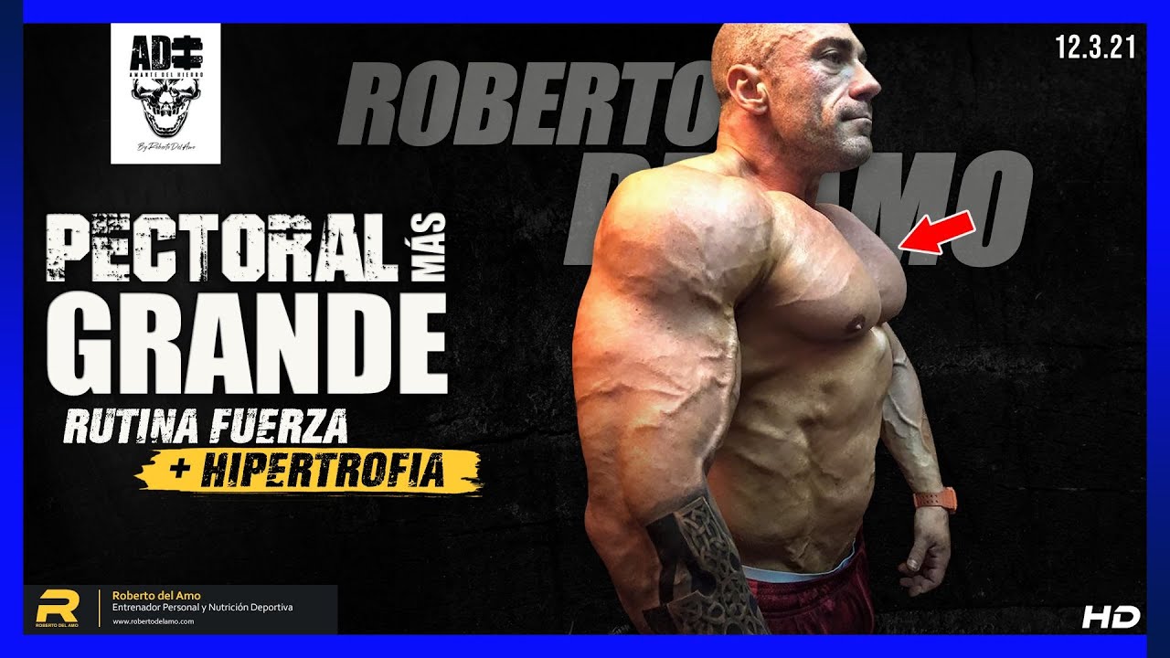 PECTORAL MÁS GRANDE - Rutina fuerza + Hipertrofia - YouTube