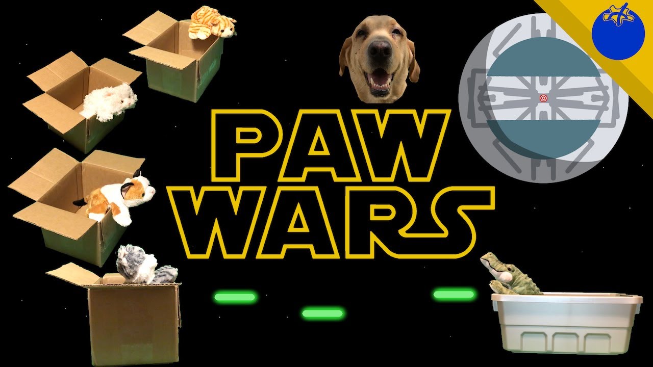 Paw Wars: The Rise of Dogwalker - YouTube