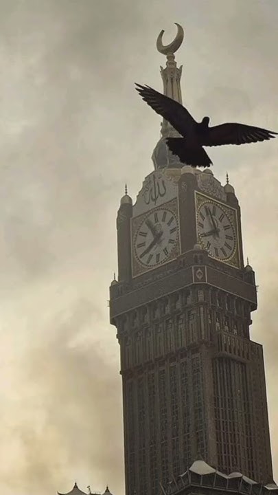 Recitation of the Holy Quran | Islamic Videos | Telawat Quran Pak ...