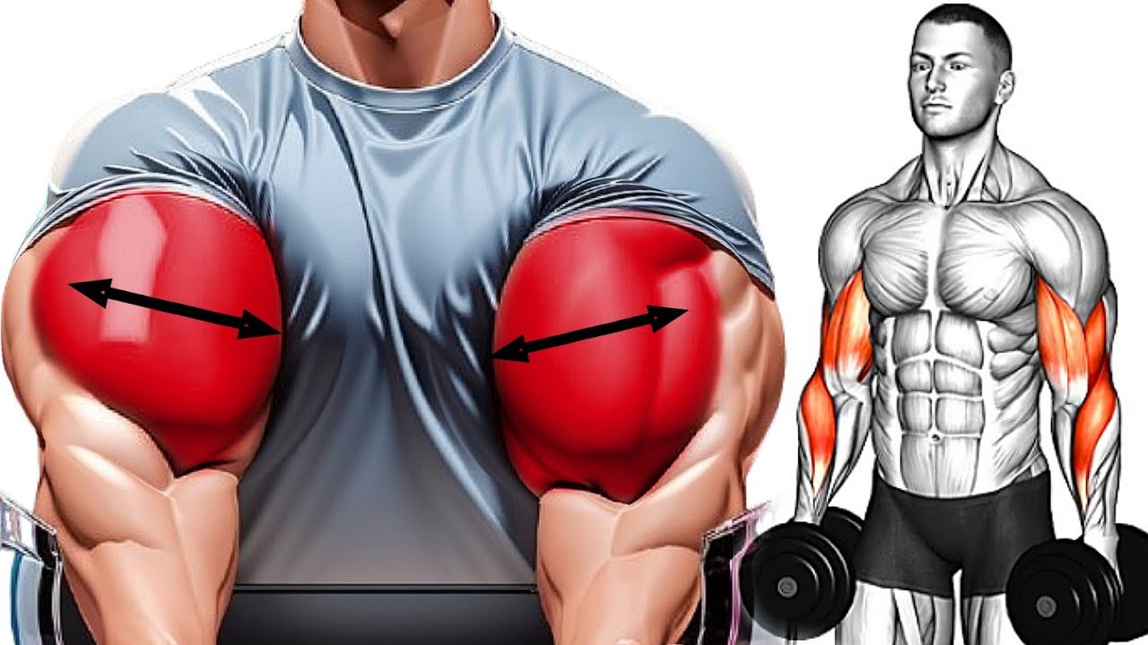 6 Super Effectiver Exercises to Build Wider Biceps - YouTube
