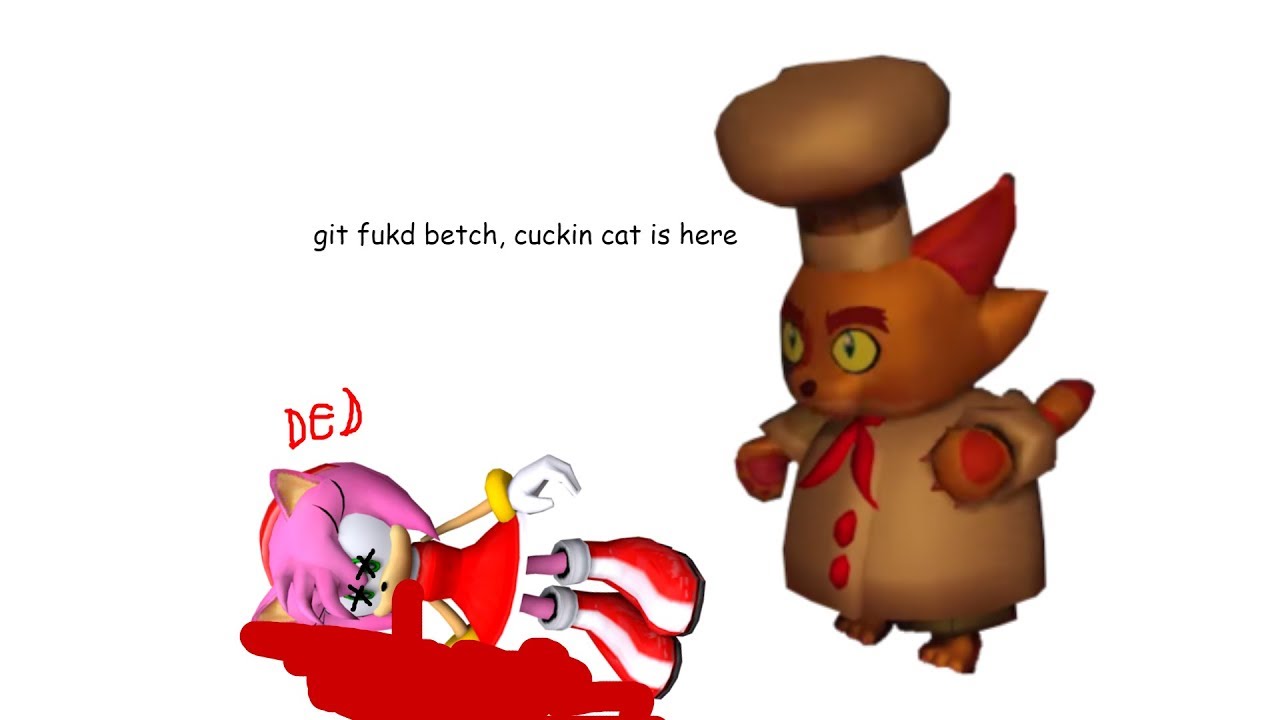 Amy Rose to the rescue but it’s actually Cooking Cat - YouTube