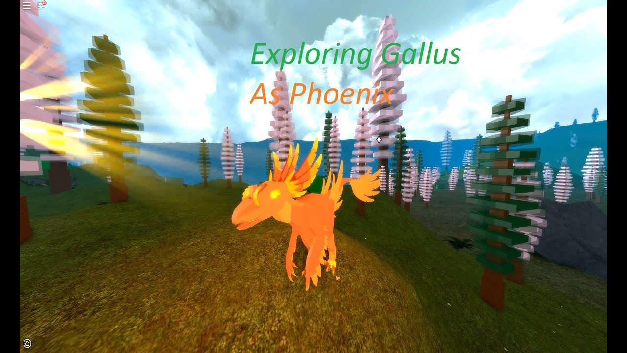 Roblox Dinosaur Simulator - Exploring Gallus As Phoenix - YouTube