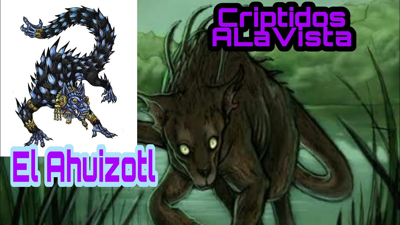 El Ahuízotl |Criptido Mexicano|#Bestiario Vol.8 |Criptidos A La Vista ...