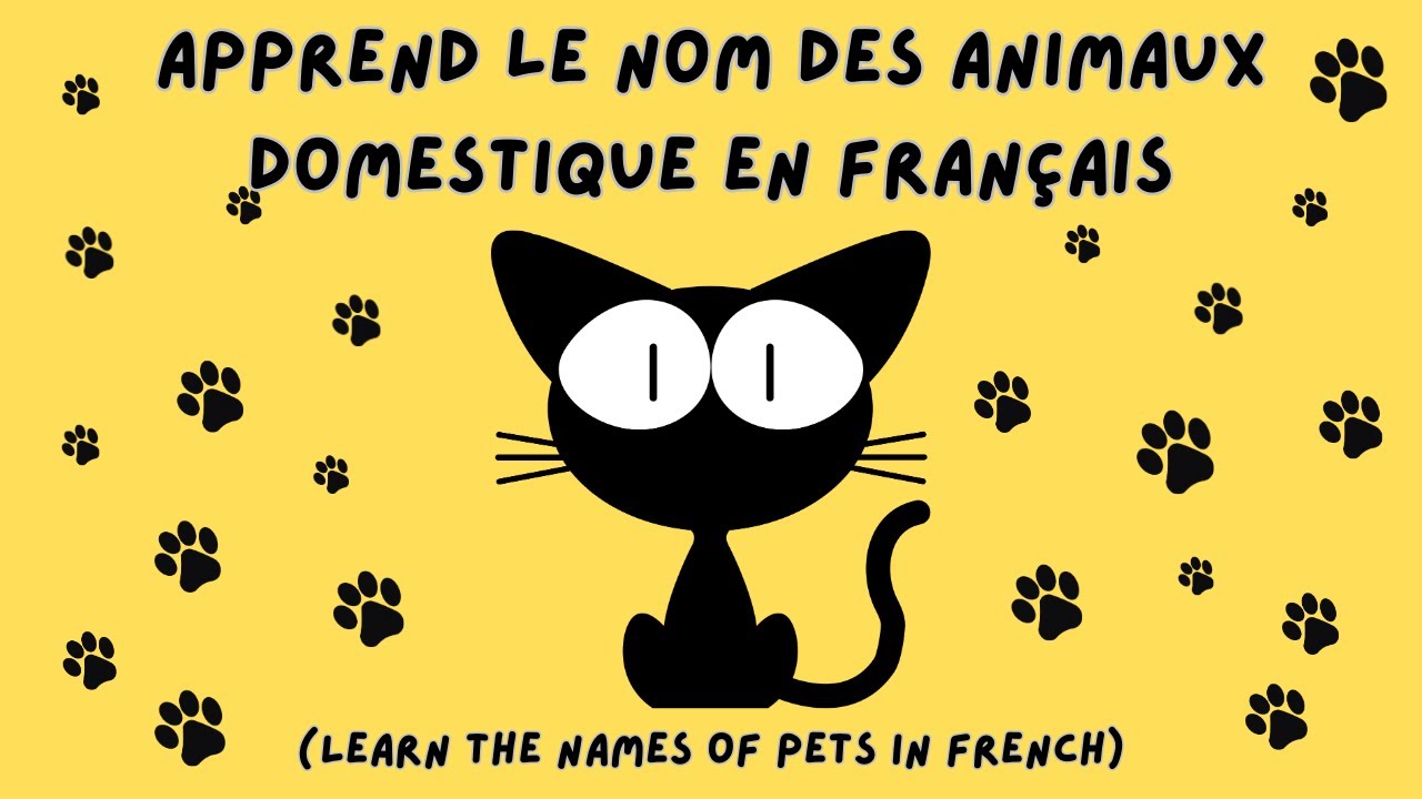 Apprend le nom des animaux domestique facilement / Learn the names of ...