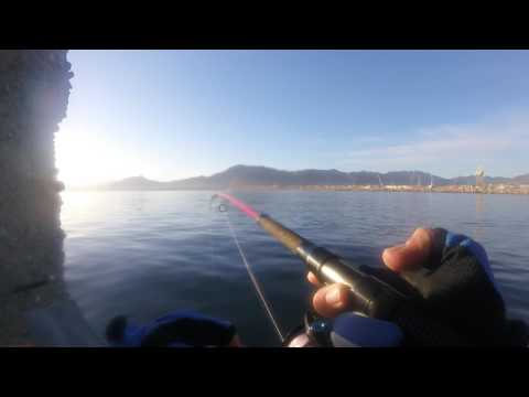 SHORE JIGGING CON JUGULO CASTING JIG 40GR