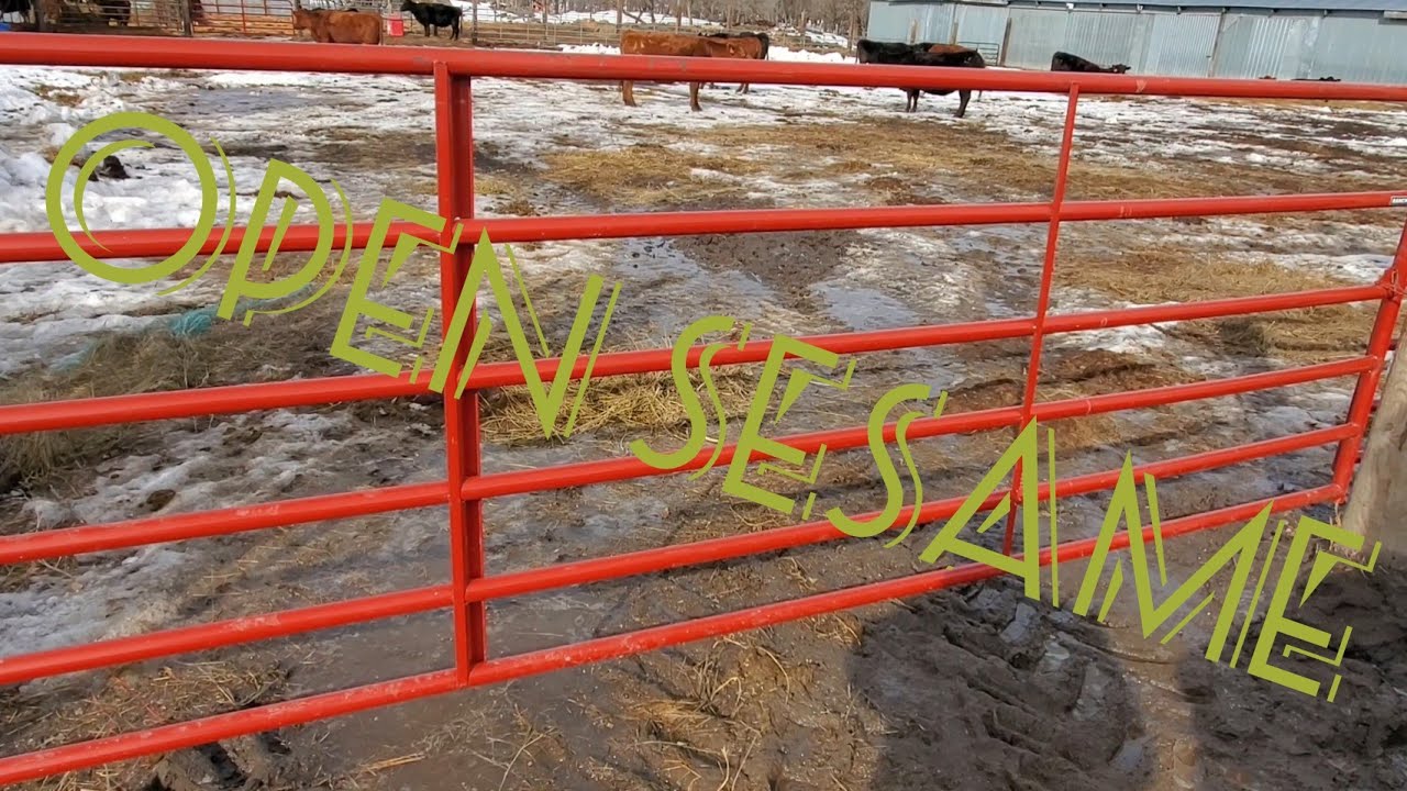 RRAR 46 Open Sesame! Installing a Mighty Mule gate opener. - YouTube