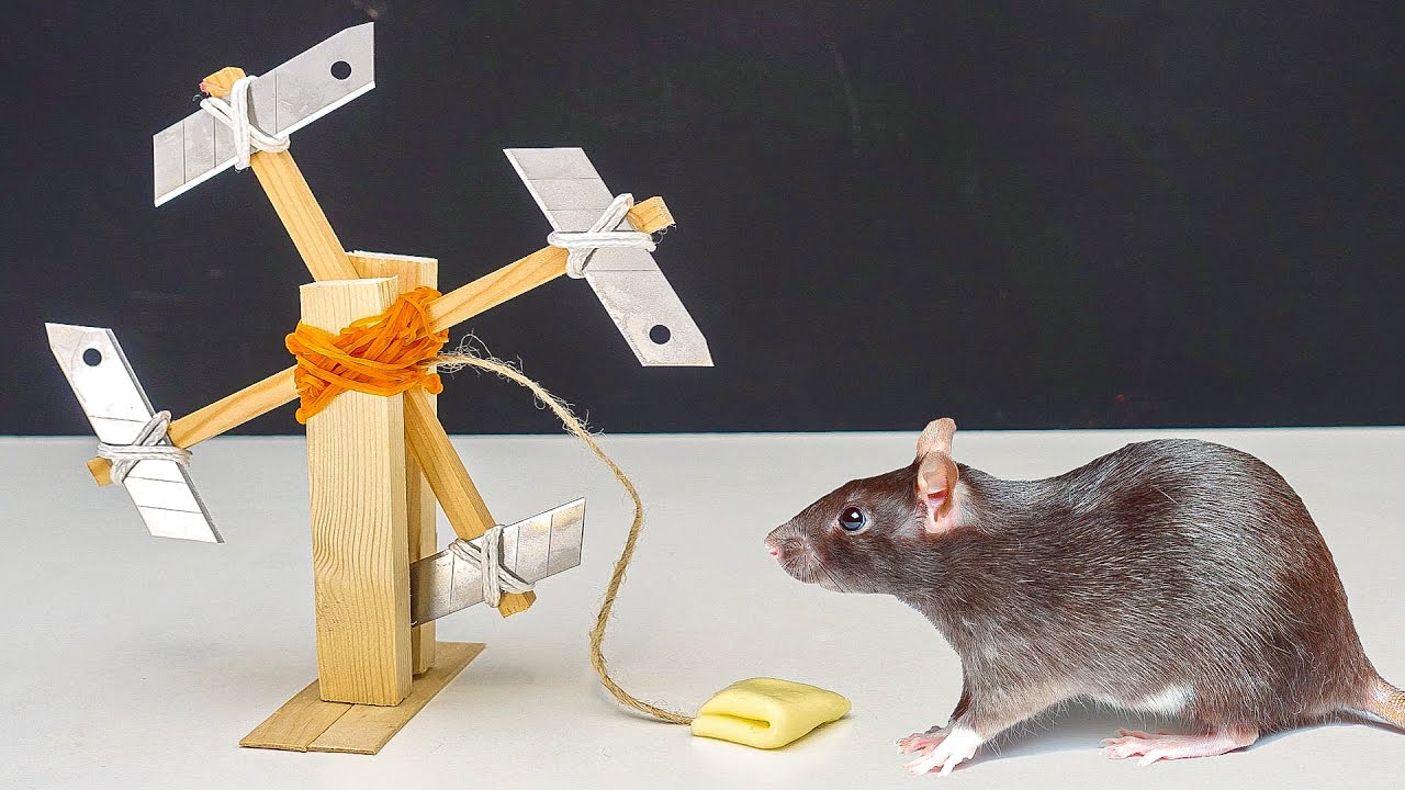 La Trampa para Ratas MÁS LOCA jamás creada 🐀😲 - YouTube
