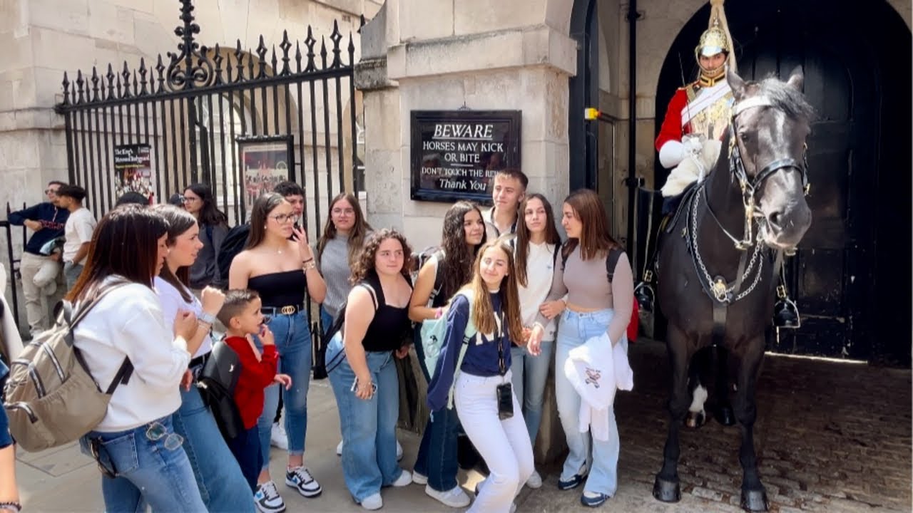 "Majestic Mischief: Tourists Delighted by Flirty Royal Steed at Horse ...