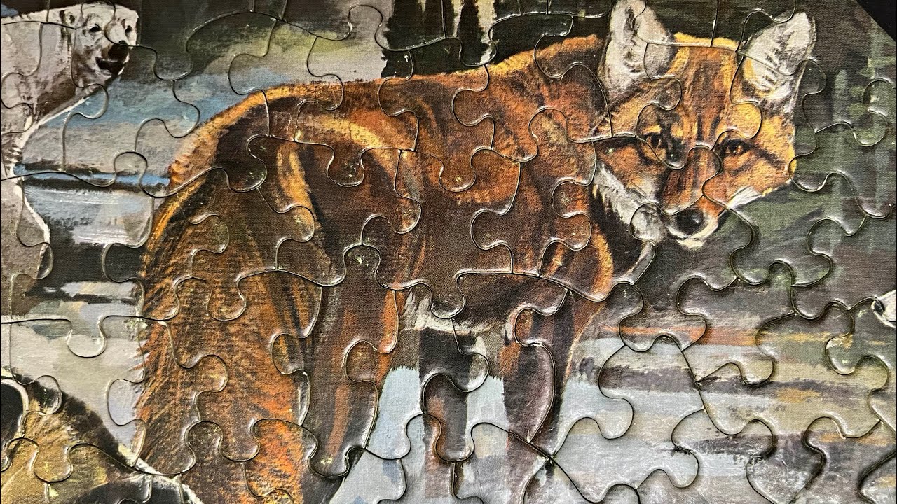Vintage Springbok Puzzle / Carnivorous Animals PZL8928 / 1971 - YouTube