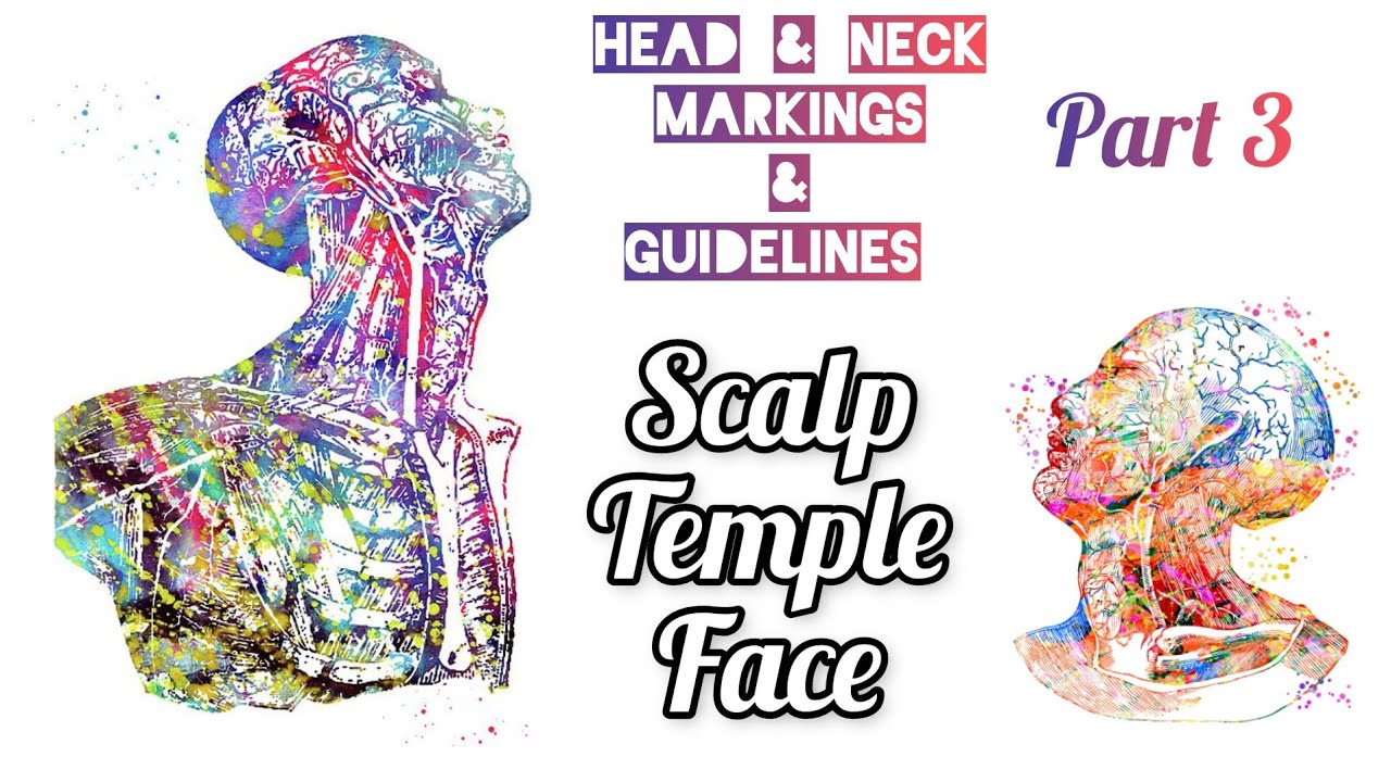 SCALP TEMPLE FACE | H&N MARKINGS AND GUIDELINES - YouTube