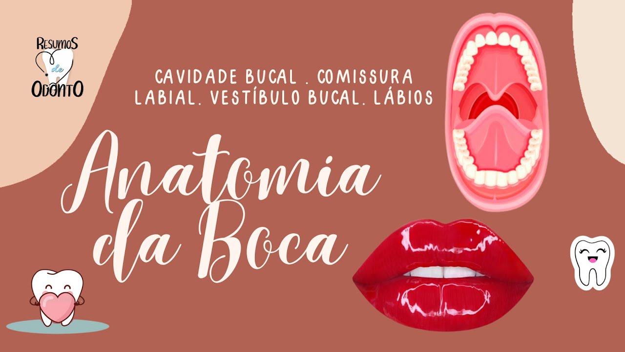 ANATOMIA BUCAL | CONHEÇA - Resumos de Odonto - YouTube
