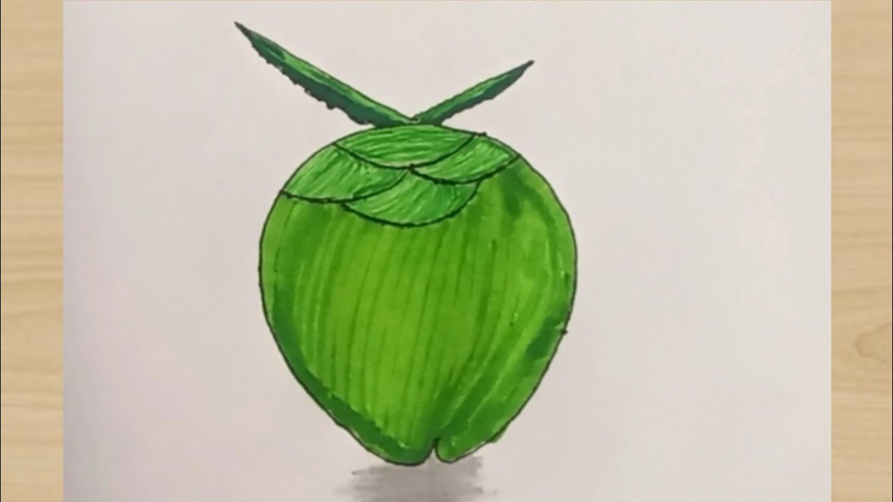 Drawing green coconut।। pencil drawing step by step.. - YouTube