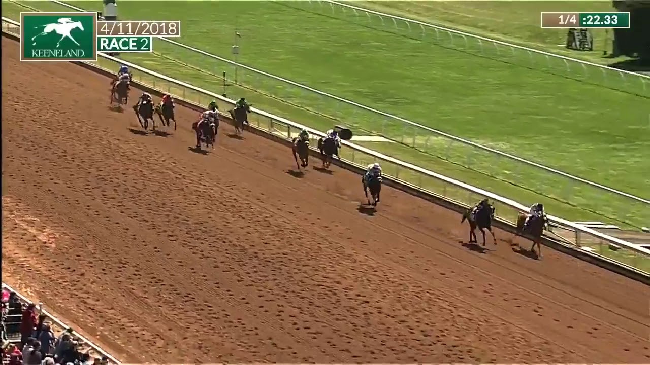 Hargus - First starter & first winner for Capo Bastone - YouTube