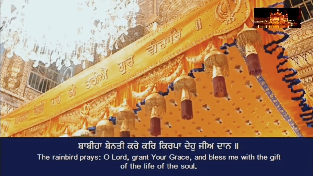 Babiha benti kare || darbar sahib live || hazoori ragi shri darbar ...