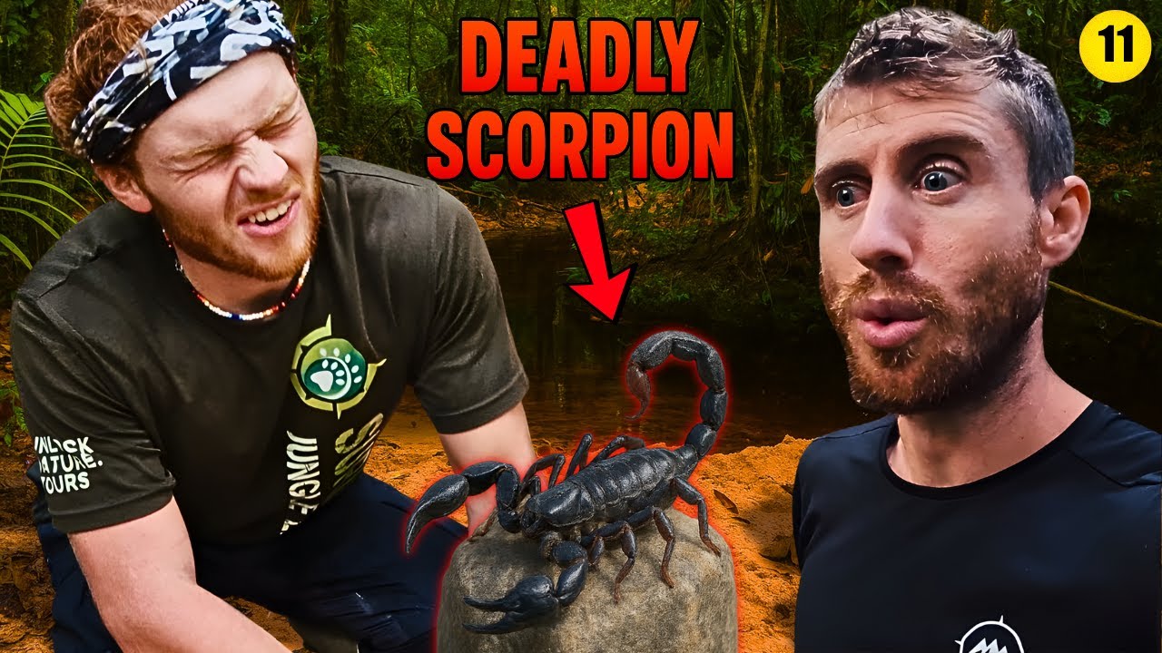 Stung by the Most Venomous Scorpion in Suriname – 16 Days in the Amazon ...