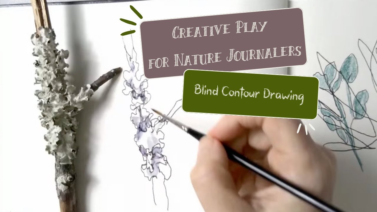 Creative Play for Nature Journalers - Blind Contour Drawing - YouTube