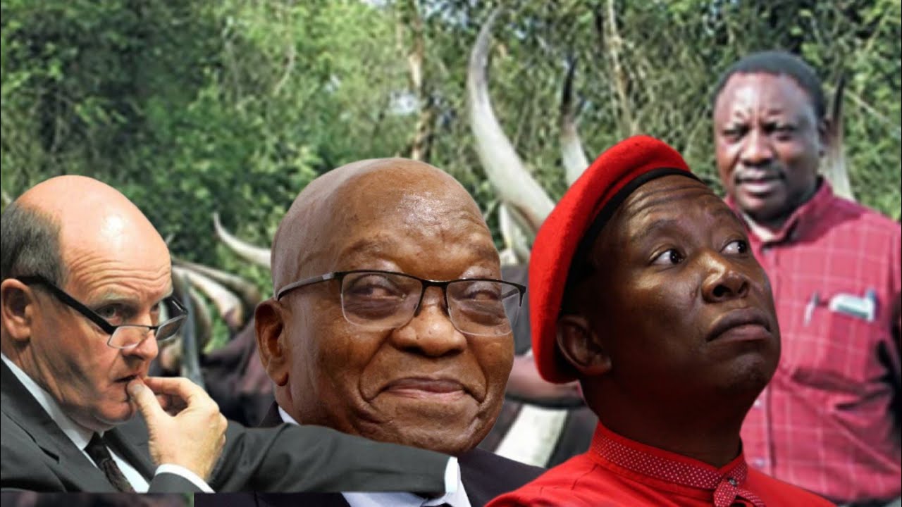 More exposed on PhalaPhala saga, threats, Zuma and the EFF - YouTube