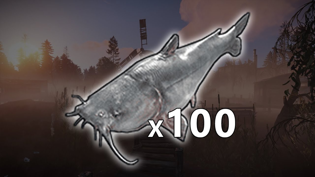 I Caught 100 Catfish In Rust So You Don't Have To - YouTube