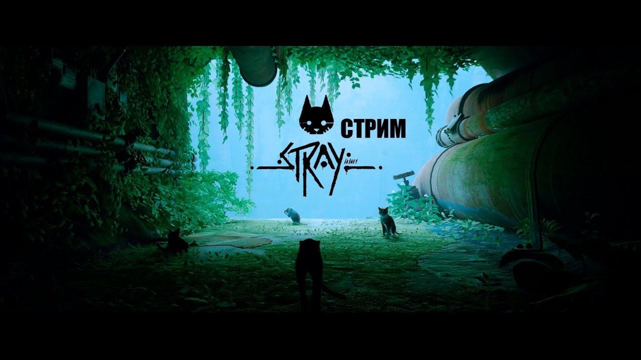 прохождение Stray #1 - YouTube