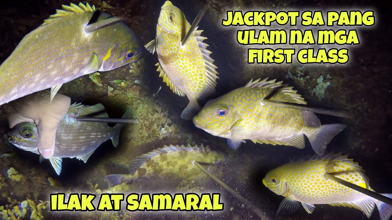 eps.223 JACKPOT SA MASARAP NA PANG ULAM ILAK AT SAMARAL DITO SA TAPAT ...